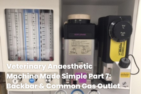 Veterinary Anaesthetic Machine Made Simple Part 7: Backbar & Common Gas ...